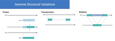 Sanger Sequencing Vs Next Gen Sequencing