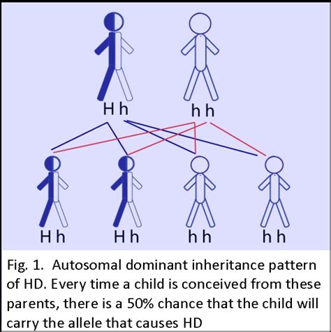 Figure 4 From Huntingtons Disease Understanding A Mutation Semantic