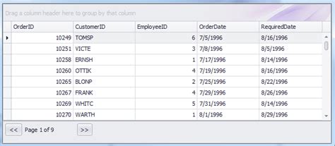 e1233 how to use the xppageselector with the gridcontrol devexpress