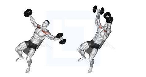 Dumbbell Incline Breeding Guide Benefits And Form