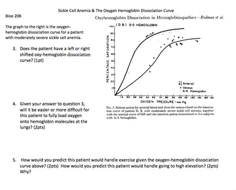 Solved The Graph To The Right Is The Oxygen Hemoglobin