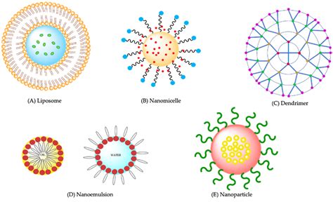 Schematic Representation Of Common Nanocarriers A Liposome B