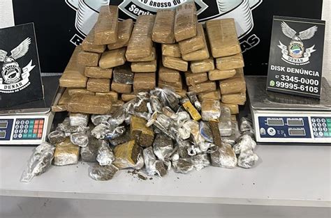 Polícia Civil Localiza Depósito De Drogas No Bairro Lageado E Apreende
