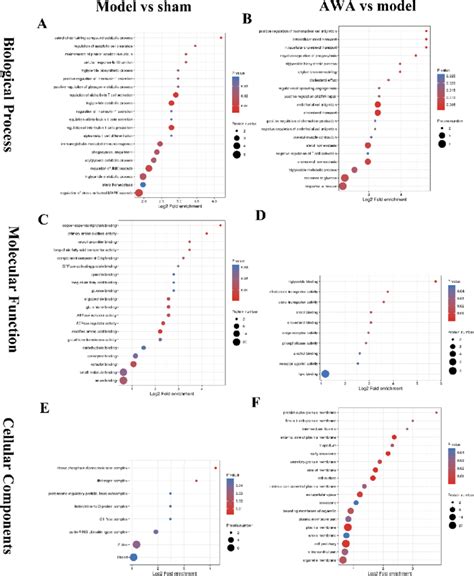 Terms Of Differentially Expressed Proteins Analyzed By Gene Ontology