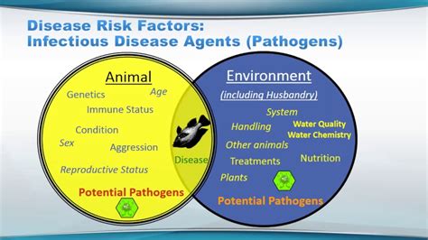 What You Need To Know About Biosecurity Youtube