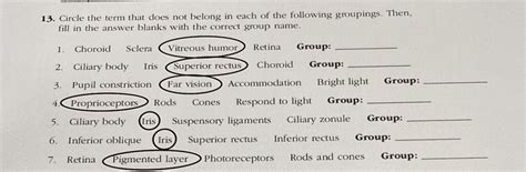 [solved] 13 circle the term that does not belong in each of the