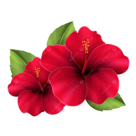 Realistic Malaysia Hibiscus Flower Vector Malaysia Merdeka Malaysia