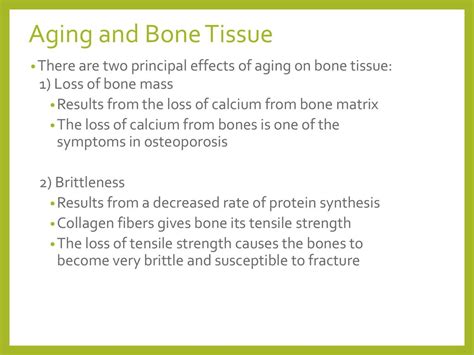 Bones Are Alive Living Bones Form Grow Repair Remodel Ppt Download