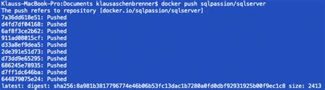 running a custom sql server docker image in amazon aws