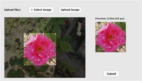 image upload and crop in php jquery ajax a2zwebhelp