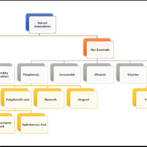 Classification Of Antioxidants Found In Natural Sources Download