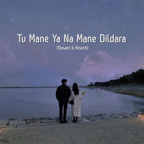 Tu Mane Ya Na Mane Dildara Slowed And Reverb Song Download From Tu