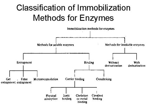 Syllabus Various Techniques Used For Immoblized Enzyme Chemical