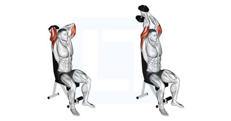 Dumbbell Incline Hammer Curl Guide Benefits And Form