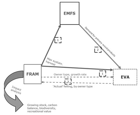 forests free full text behavioral modelling in a decision support