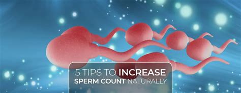5 Simple Tips To Increase Your Sperm Count Naturally Charak