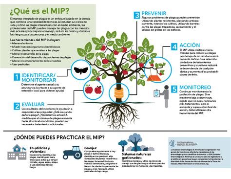 Manejo Integrado De Plagas Mip