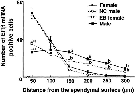 Sexually Dimorphic Expression Of Estrogen Receptor β In The