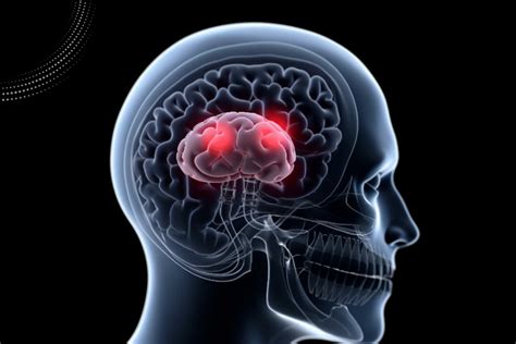 Causes And Types Of Brain Cancer Lone Star Neurology