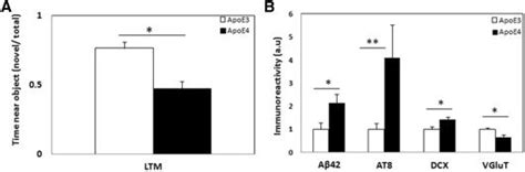 Apolipoprotein Apoe ε4 And Apoe ε3 Object Recognition Test And Its