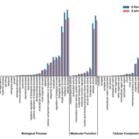 Functional Annotation Of Assembled Sequences Based On Gene Ontology