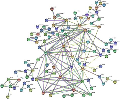Constructed Interaction Network Of Down‐regulated Degs And Their