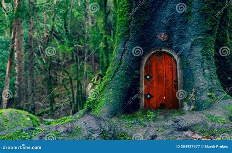 Fairytale Fantasy House In Tree Trunk In Forest Stock Image Image Of