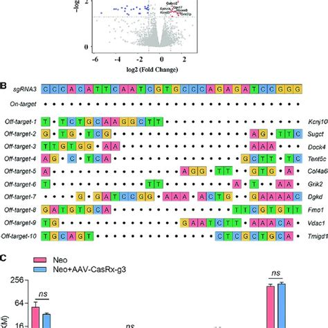 The Safety Evaluation Of Rna Editing In Vivo By Rna Seq A The Volcano
