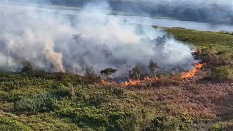Ms Declara Emergência Em Municípios Atingidos Por Incêndios Florestais