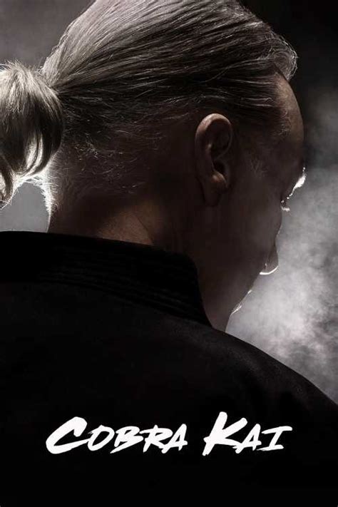 Cobra Kai 2018 Sevi The Poster Database Tpdb