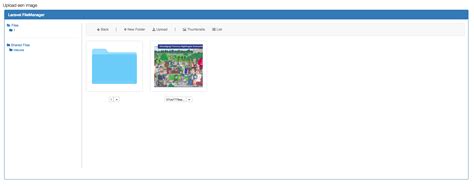 laravel unisharp file manager combine file and image