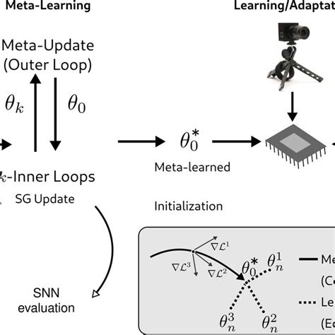 Meta Learning For Snns Using Surrogate Gradients In The First Phase