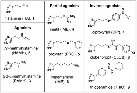 1 Structures Of Imidazole Containing H 3 R Ligands Full Agonists 1 3
