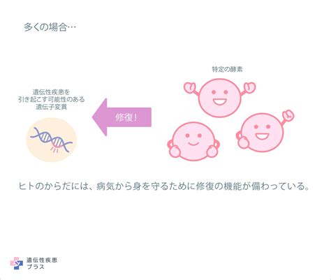 すべての遺伝子変異は健康と発達に影響を及ぼしますか？ 遺伝性疾患プラス