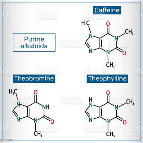 Set Of Purine Alkaloids Caffeine Theophylline Theobromine Molecule