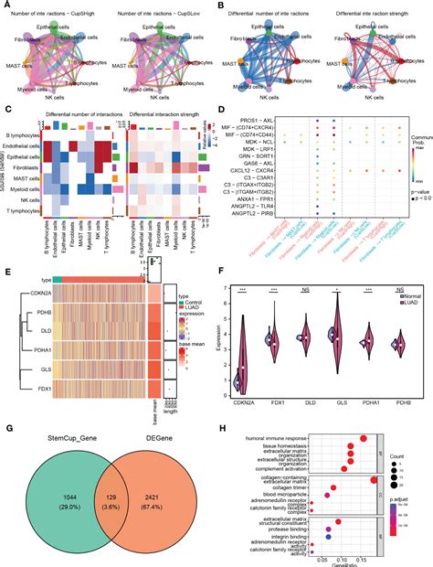 Frontiers Identification And Validation Of A Novel Cuproptosis