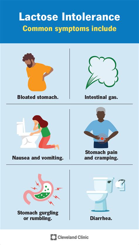Lactose Intolerance Causes Symptoms And Treatment – Peak Wellness