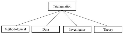 Triangulation Types Denzin 1978 Download Scientific Diagram