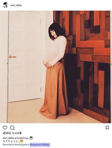 은퇴한 Av배우 오키타 안리 결혼하고 임신했구나 정치유머 게시판