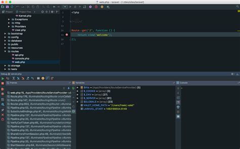 setting up xdebug with laravel valet freek van der