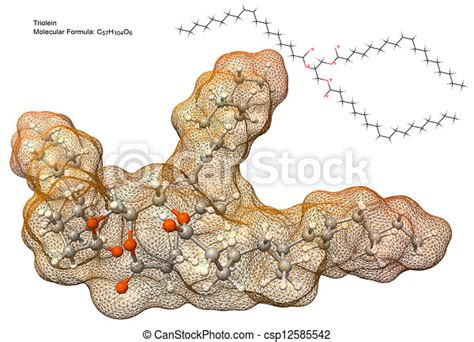 Triglyceride Molecule 3d Model Of Triolein Molecule Chemical Formula