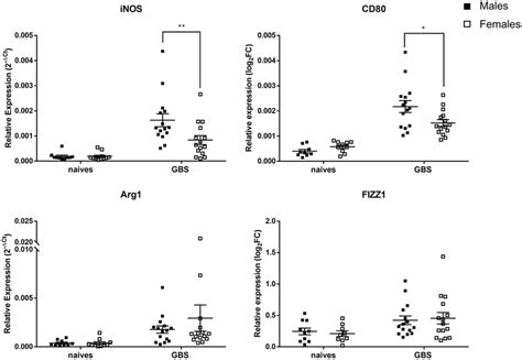 Sex Based Assessment Of Inos And Cd80 M1 And Arg1 And Fizz1 M2