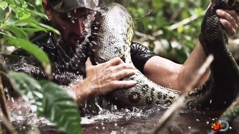 man eaten by anaconda last thing i saw was her mouth