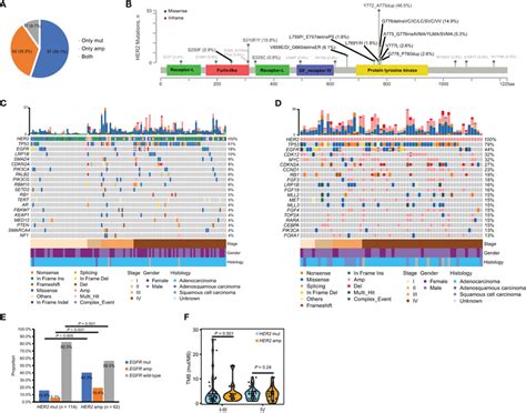 Incidence And Co Mutation Profiles Among Treatment Naïve Her2 Altered