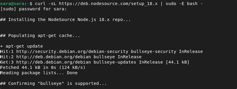how to install node js on debian {3 ways to install node js}