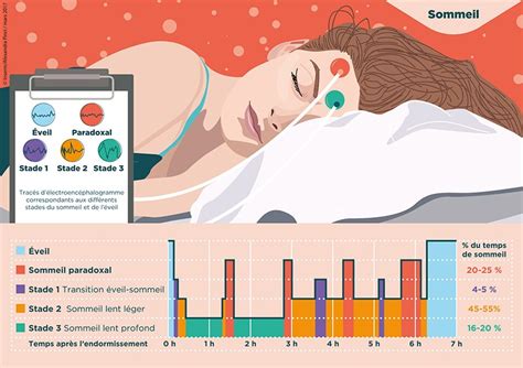 Létude Du Sommeil Et De Ses Phases Centrale De La Literie