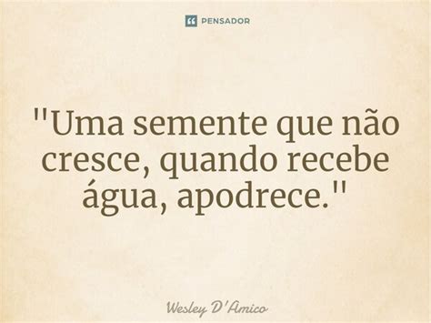Uma Semente Que Não Cresce Wesley Damico Pensador
