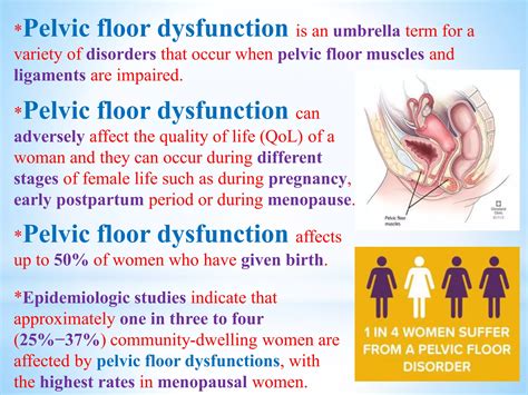 Physical Therapy For Specific Female Pelvic Floor Related Dysfunction