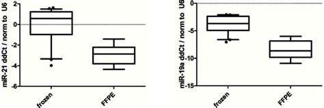 Rna Samples From Fresh Frozen N 8 And Ffpe N 8 Tissues Were