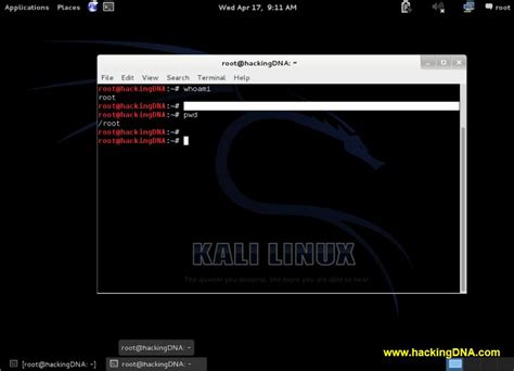 shell scripting on kali linux hackingdna